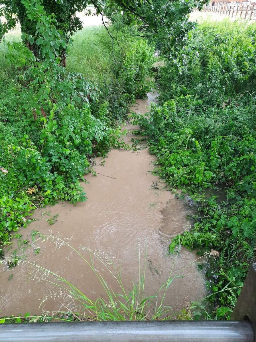 Understanding Your Responsibilities as a Riparian Owner. – Independent ...